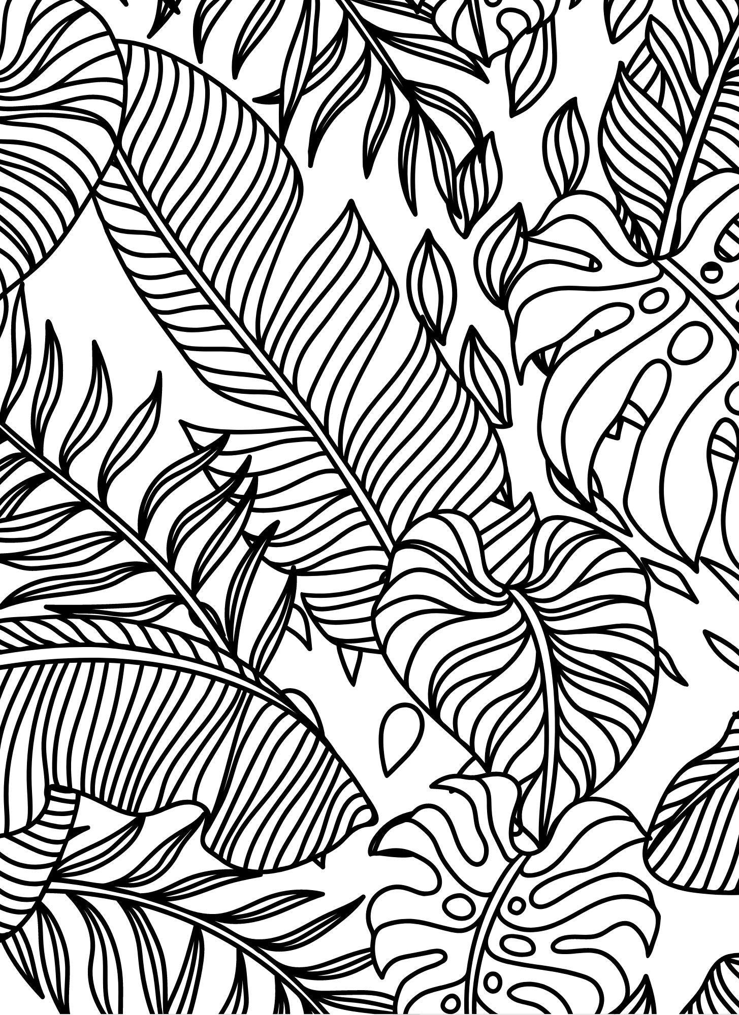 Digital Copy- My Little Tongan Coloring Book